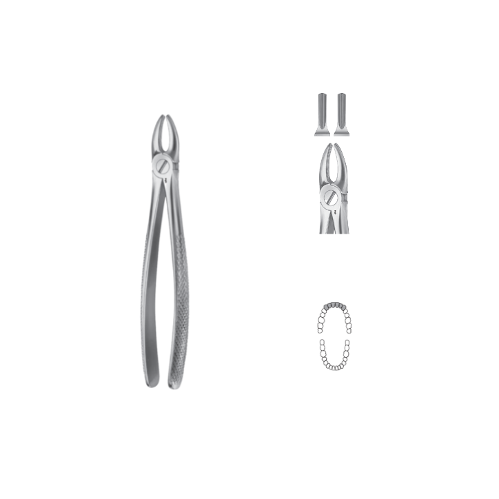 Davier Anatomica - Maxillaire